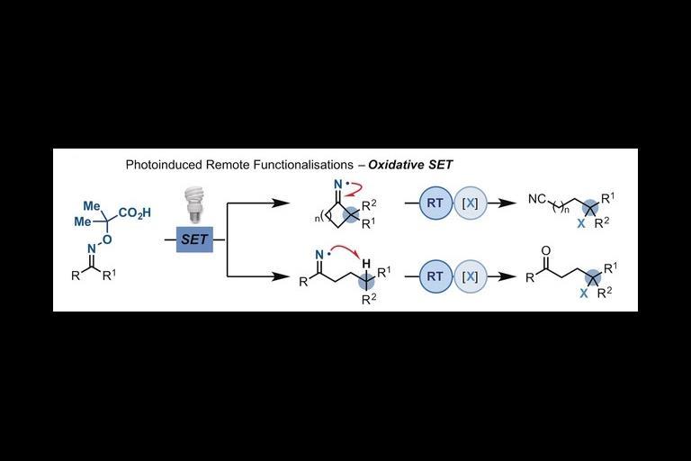 Nitrogen radical chemistry sees the light | Research | Chemistry World